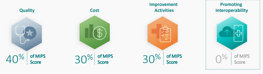 MIPS_Step-by-Step_Guide
